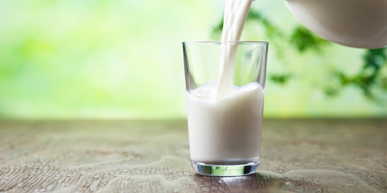 Zó weet je binnen seconden welke koemelk het meest diervriendelijk is ...