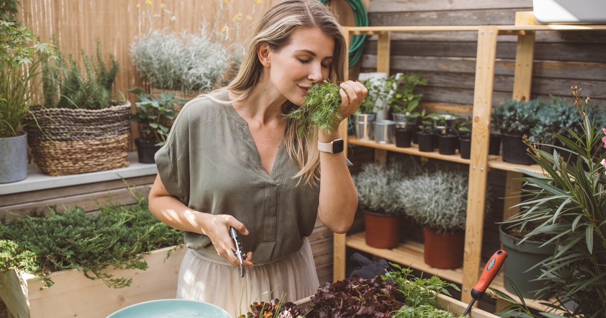 Heb je een moestuin? Déze zaadjes kun je het beste in april en mei ...