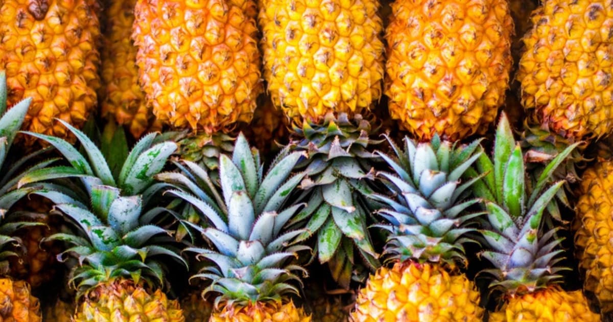 Is ananas gezond? 5 x de voordelen van dit stuk fruit | Margriet