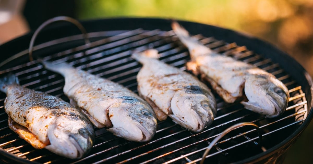 Handig: zo blijft je vis nooit meer aan de barbecue plakken | Margriet