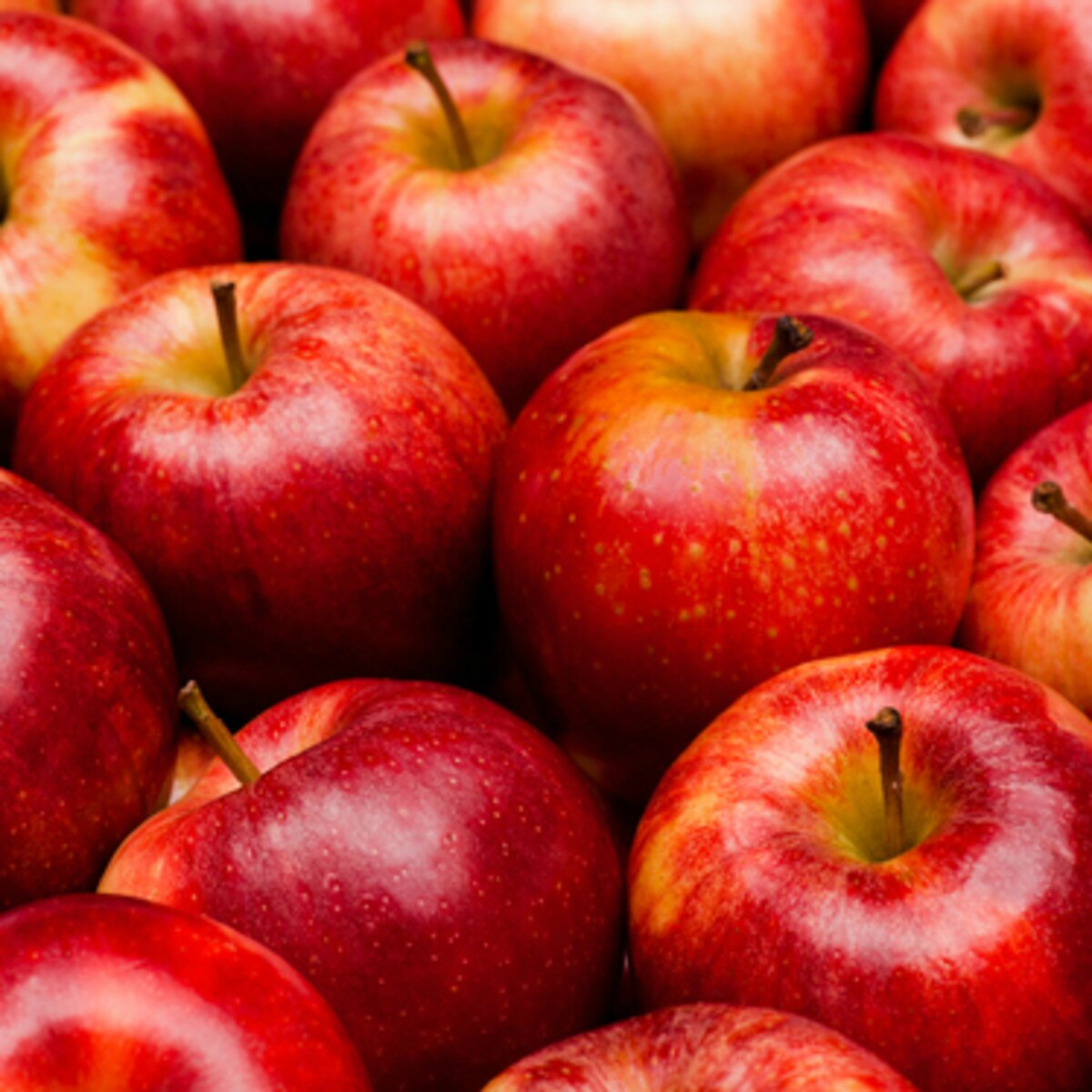 Soorten Rode Appels
