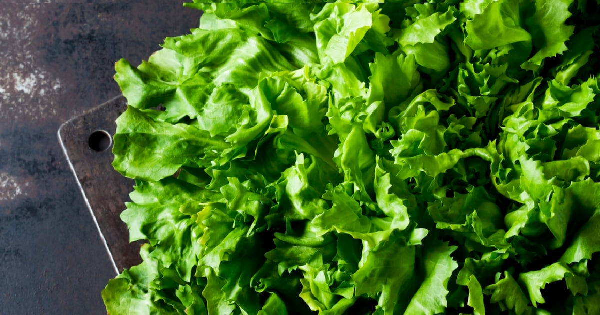 Dít zijn 6 gezondheidsvoordelen van andijvie | Margriet | Margriet