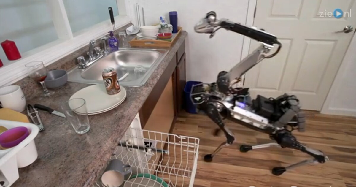 Handig hulpje in de huishouding? Een robot die de afwas doet en ...