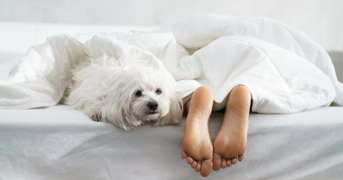 Dit is wat je moet weten over de slaapstoornis slaapverlamming | Margriet