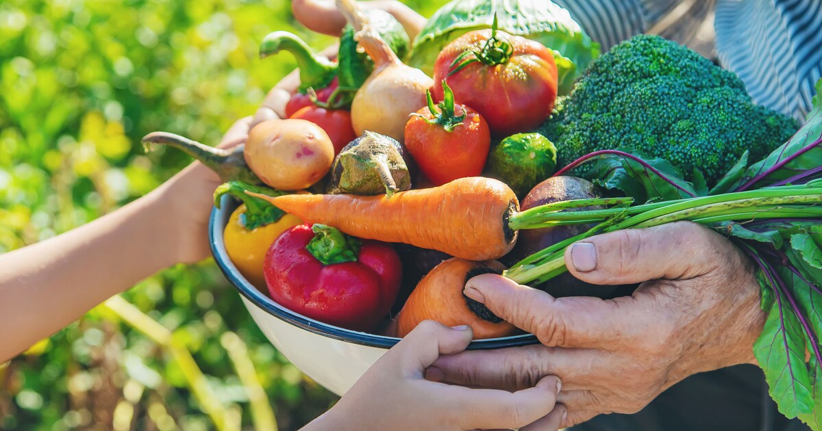 Zó weinig groente eten we gemiddeld (en zo eet je het vaker) | Margriet ...