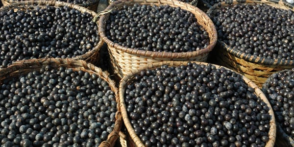 4x gezonde bessen Gezondheid - Margriet | Margriet