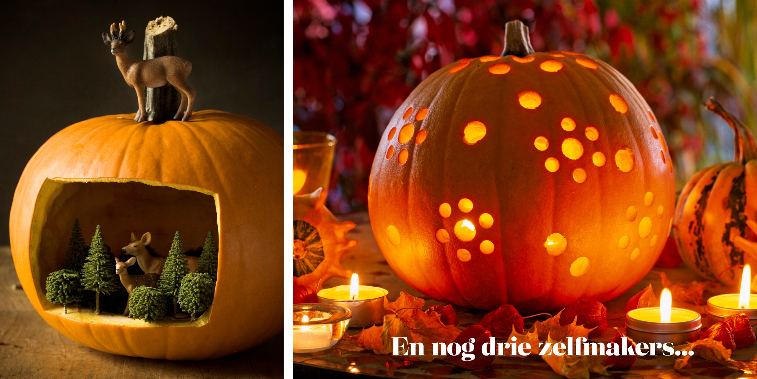 5x Creatief met pompoen | Margriet