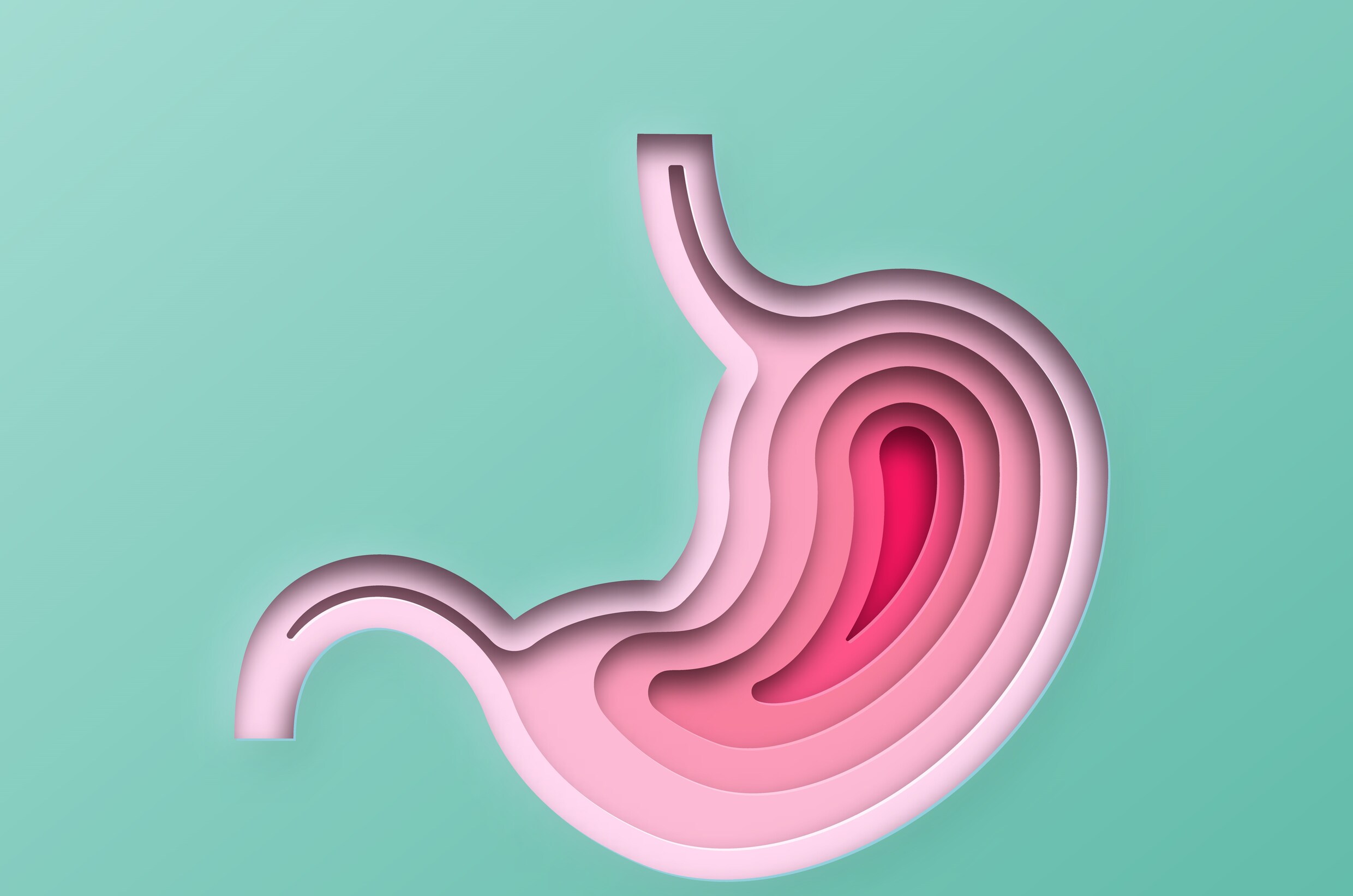 Een dieet voor een gastric bypass operatie: hierom is dat belangrijk ...