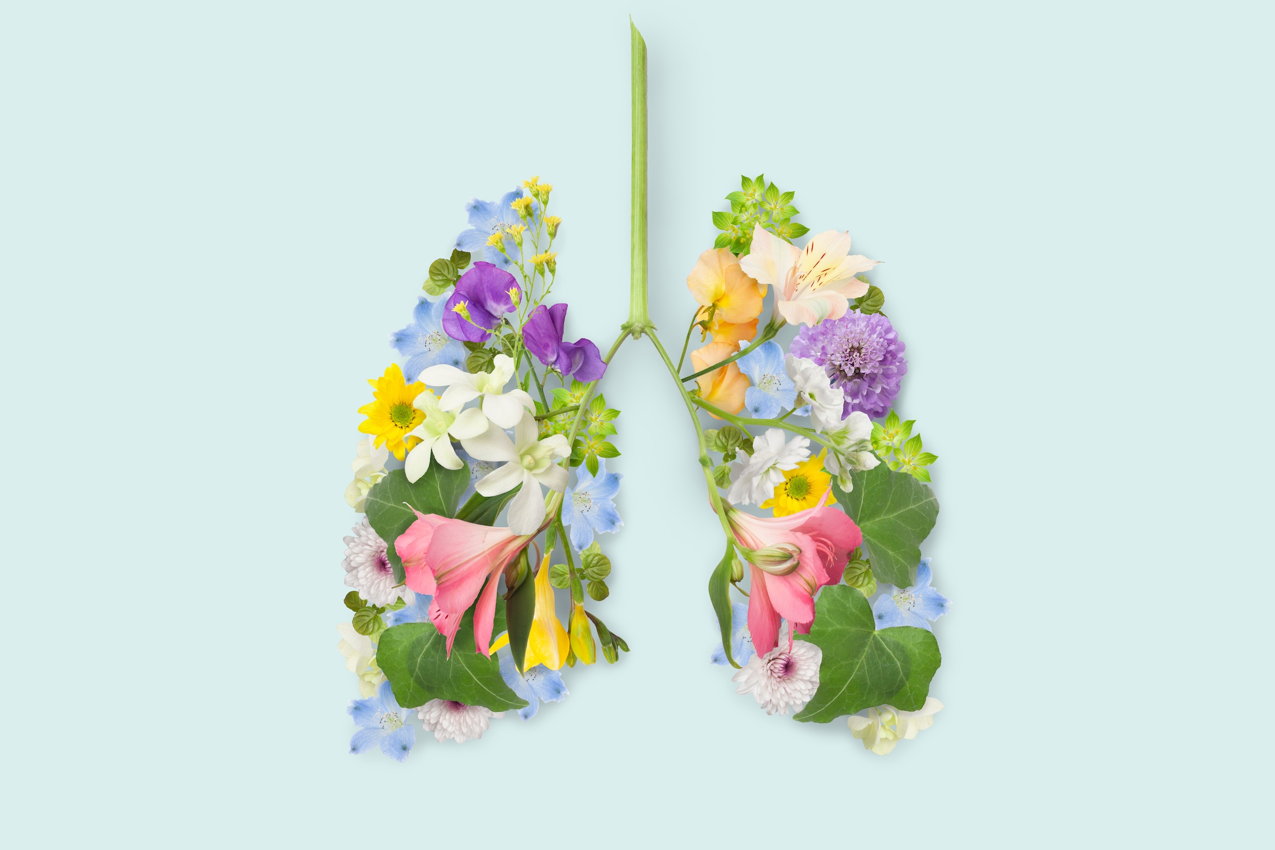 Kortademig of benauwd? Deze symptomen kunnen wijzen op longemfyseem ...