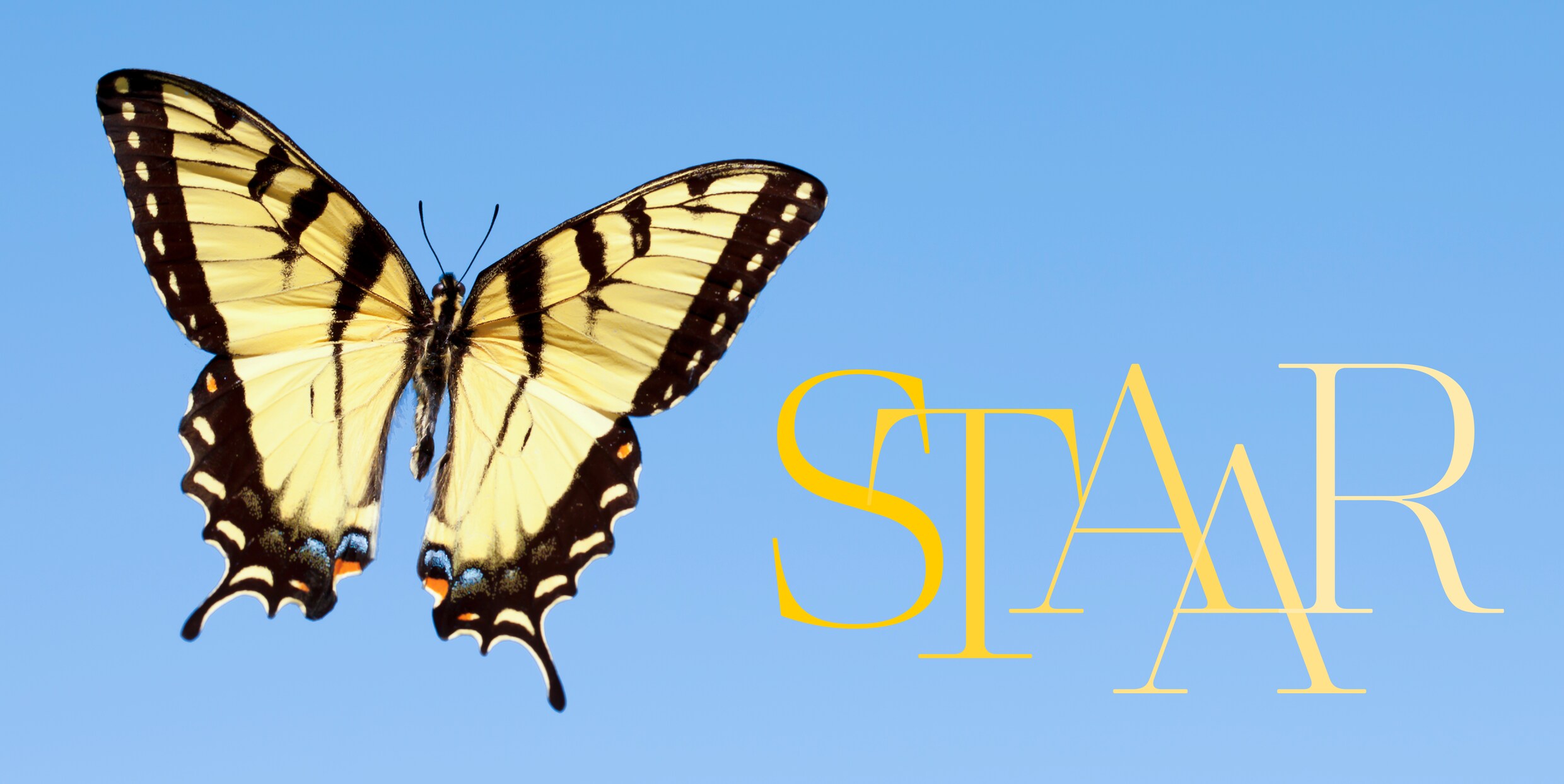 Zó herken je staar (en dit is ertegen te doen) | Margriet