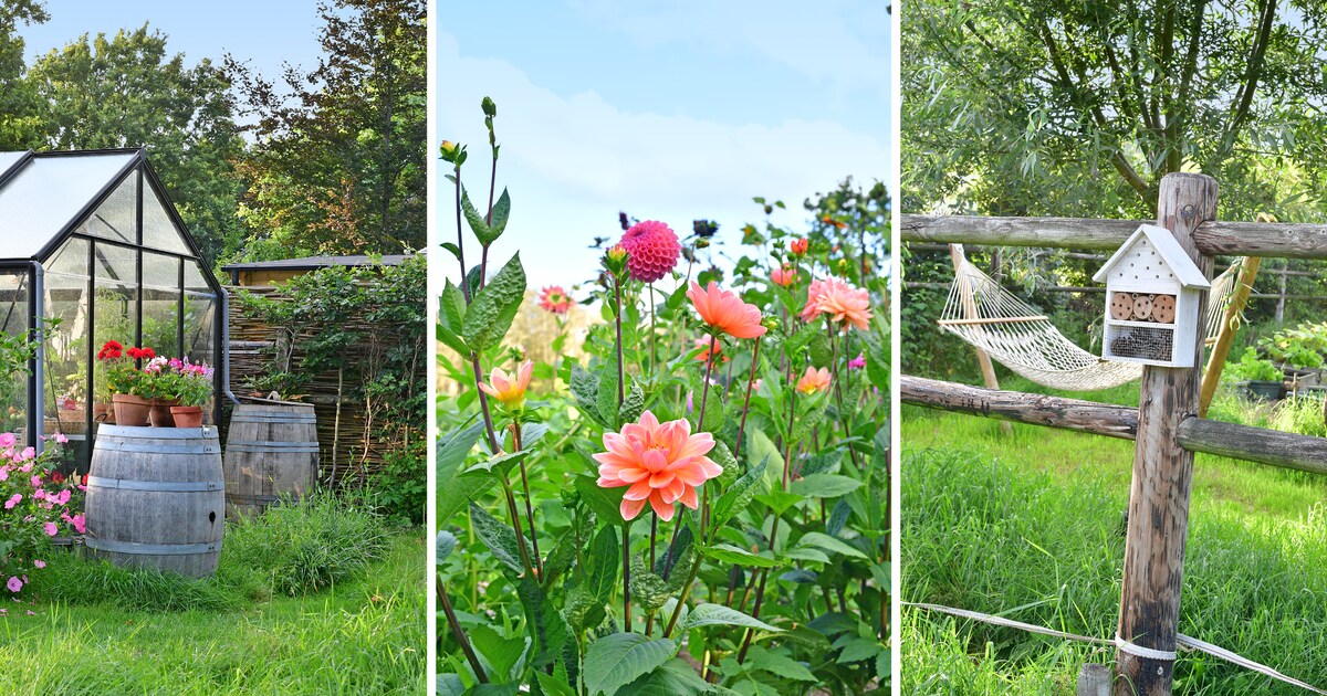De tuin van Miranda en Jan-Hein is een paradijs voor bijen en vlinders ...