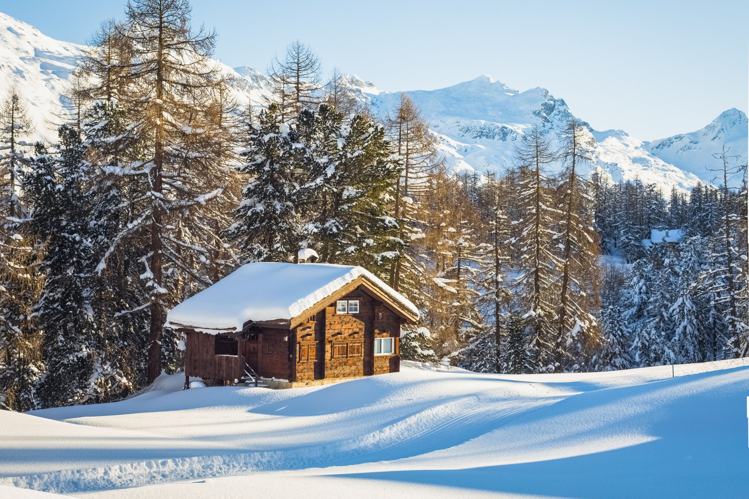 Dit weten we tot nu toe over de B&B Vol Liefde spin-off ‘Winter vol ...