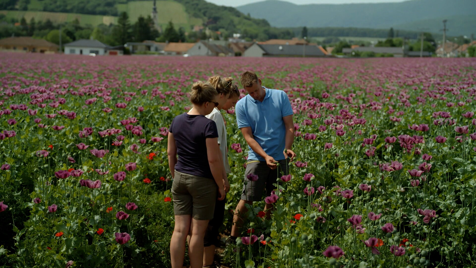 Van wie gaan de boeren afscheid nemen? Je ziet het in de nieuwe aflevering van Boer zoekt vrouw ...