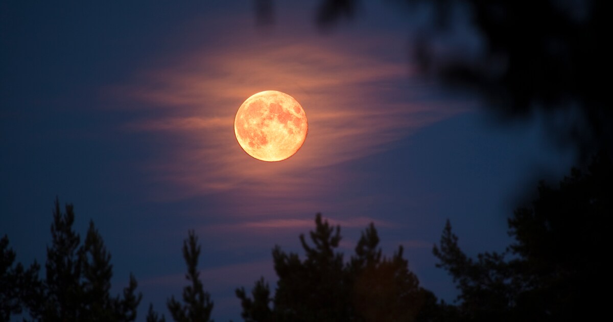 Dit kun je merken van de volle maan in Stier volgens deze astroloog ...
