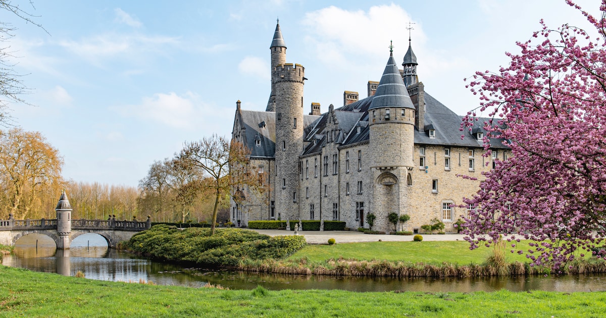Slingeren langs de Schelde: de ideale route voor een meerdaagse ...