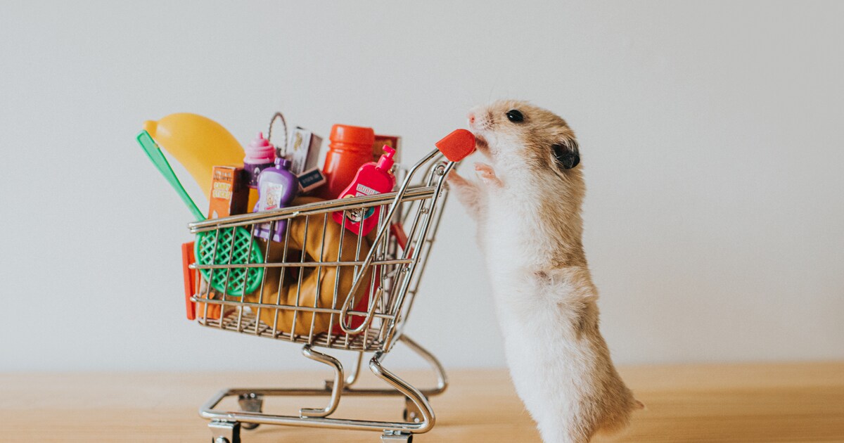 We scoorden meer aanbiedingen in 2023 en dít zijn de 10 producten met ...