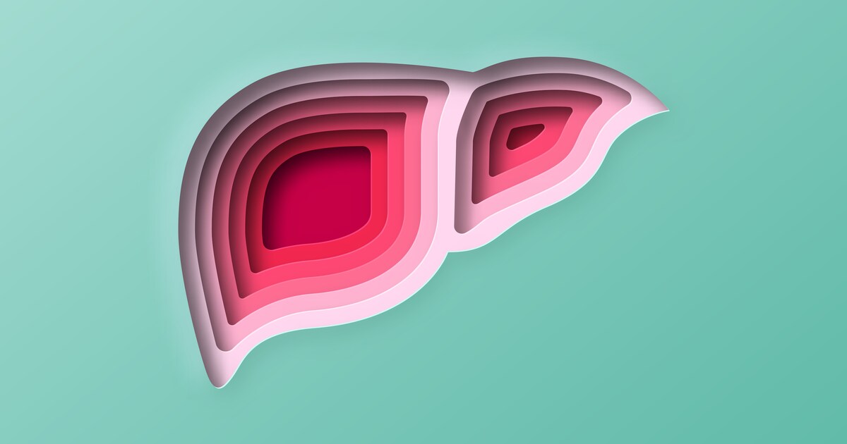 Eten in zicht? Je lever reageert meteen (en dat is goed nieuws voor ...