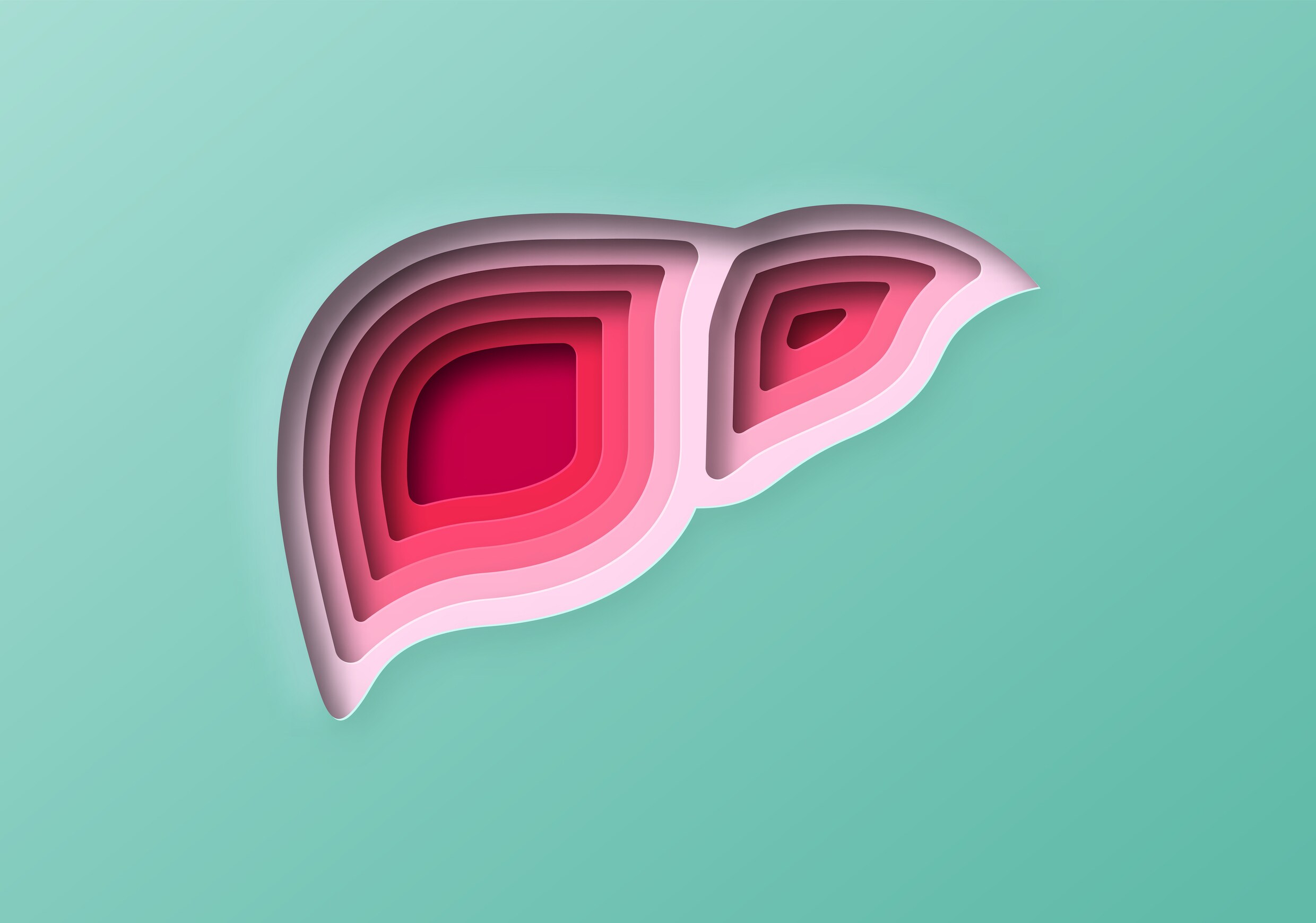 Eten in zicht? Je lever reageert meteen (en dat is goed nieuws voor ...