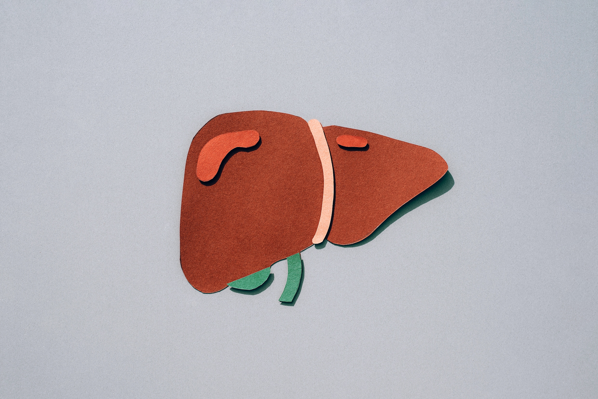 Deze vijf vroege signalen wijzen op leverschade | Margriet