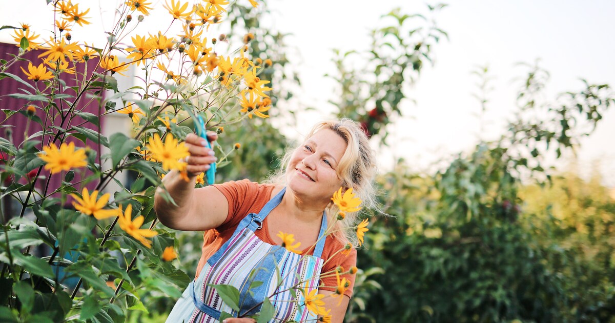 Zen in de tuin: dit is waarom we rustig worden van tuinieren | Margriet