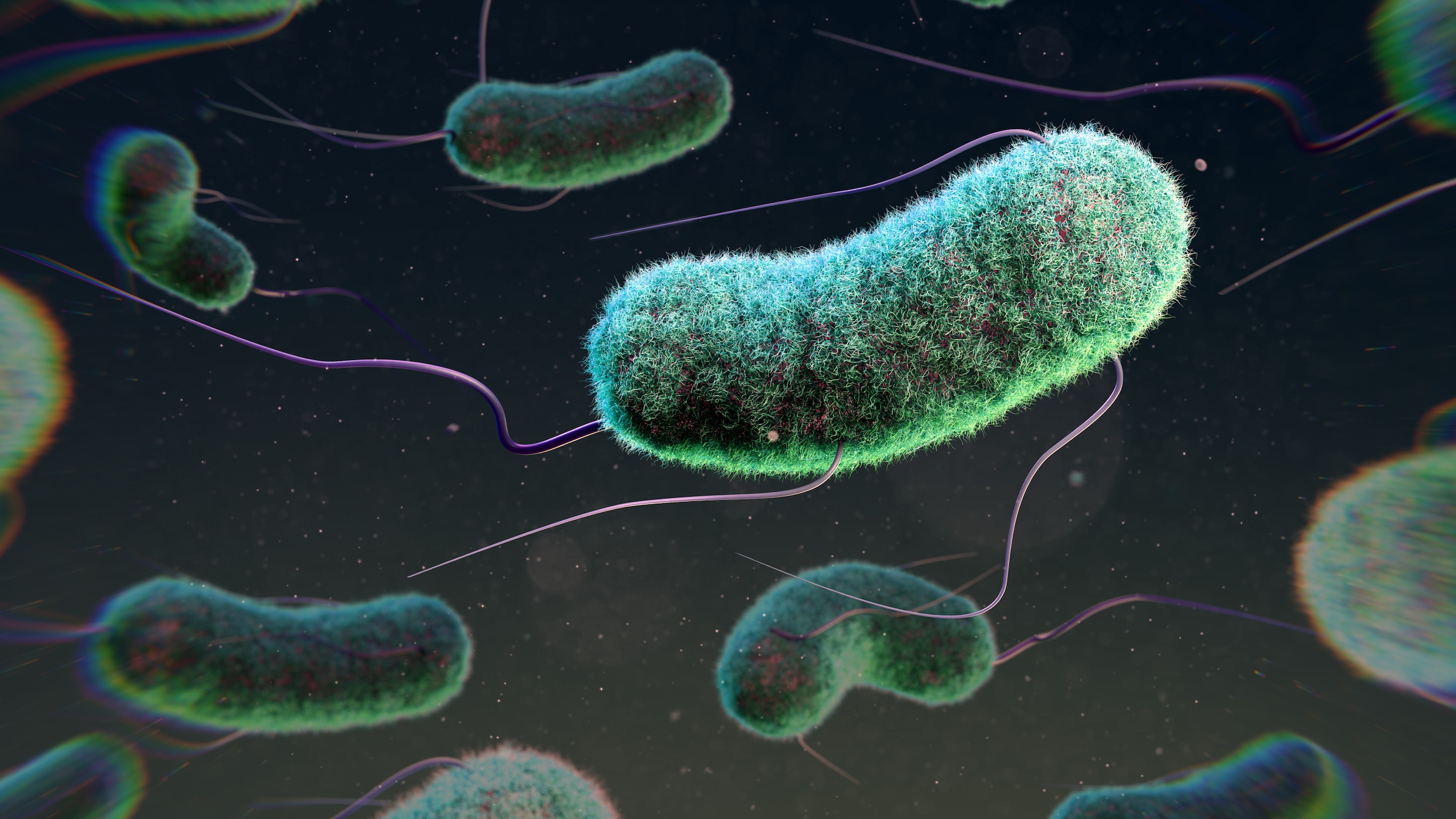 Opletten: vlees, eieren en rauwmelkse kaas kunnen bacteriën bevatten ...