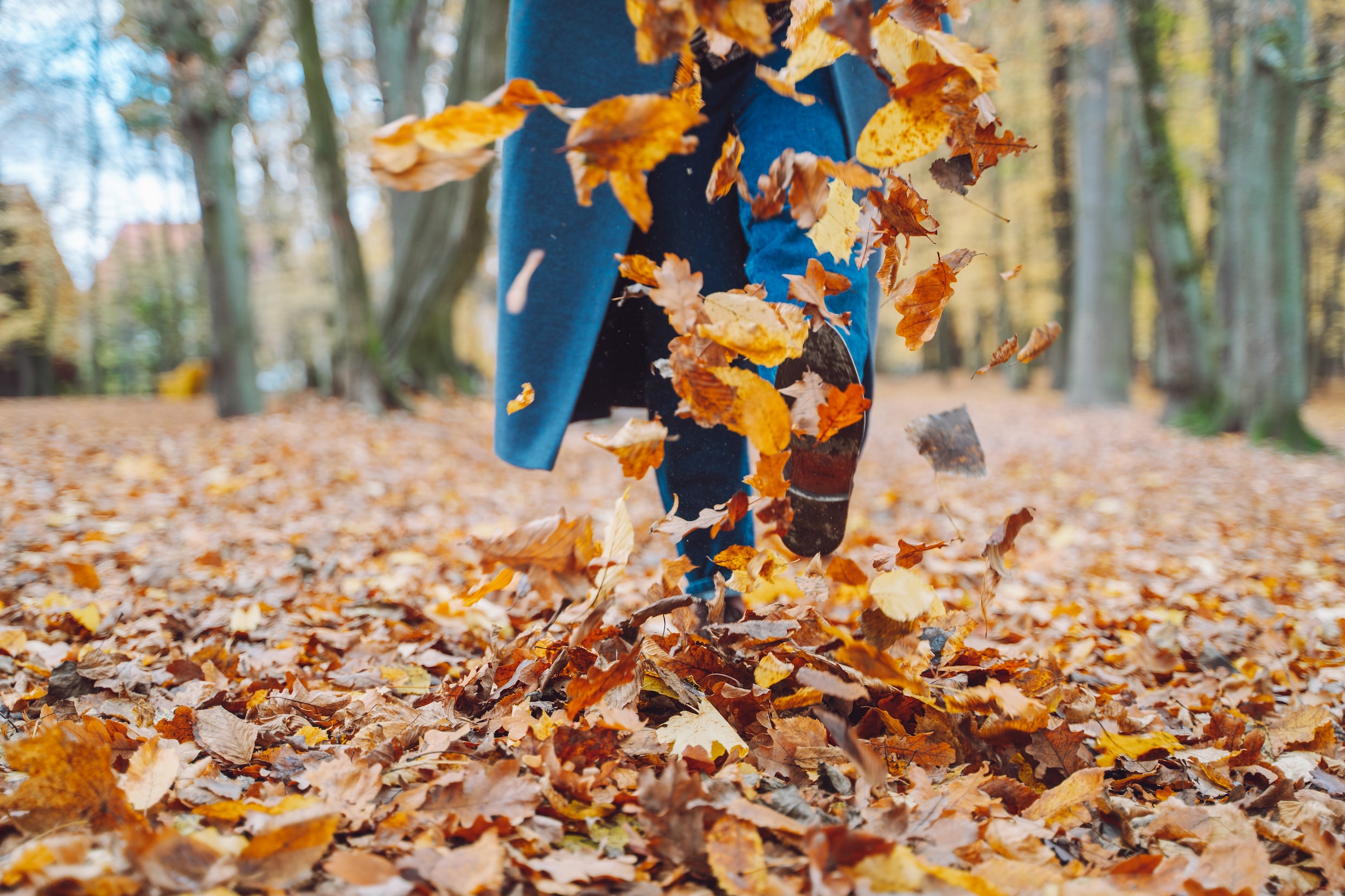Deze drie sterrenbeelden zijn gek op de herfst | Margriet