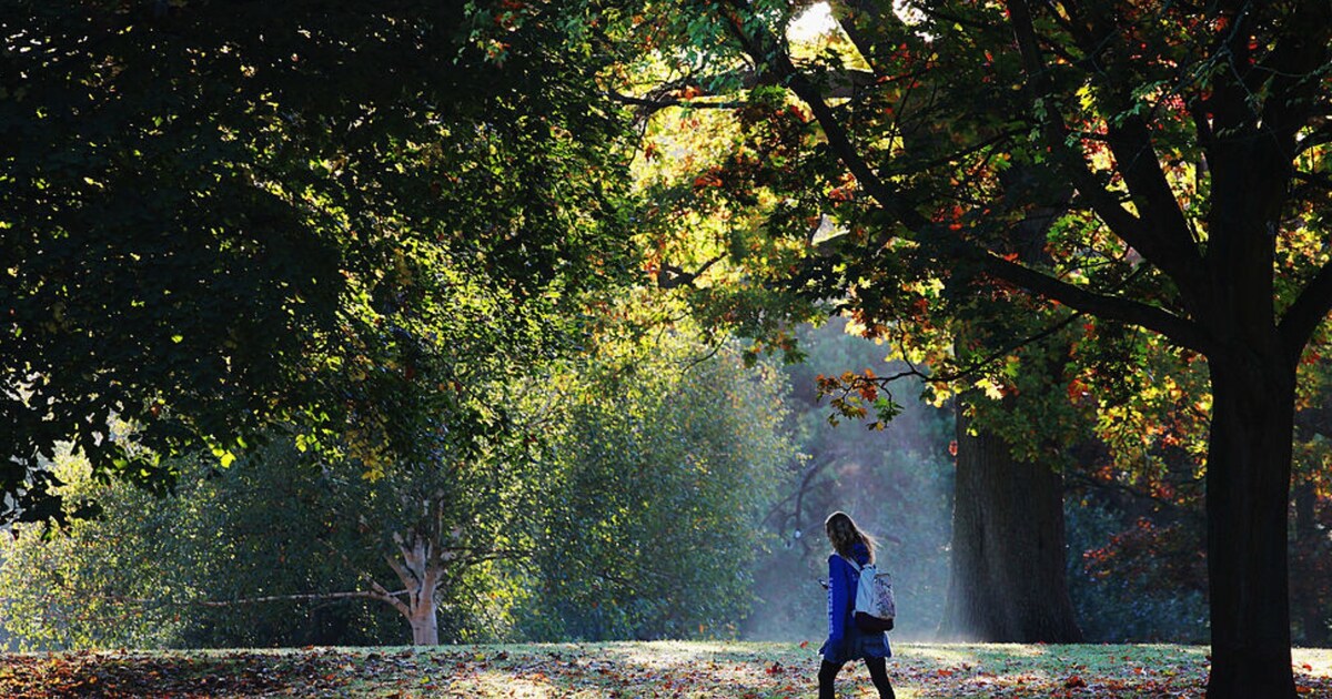 Het Marskramerpad: prachtige herfstwandeling door Nederland | Margriet