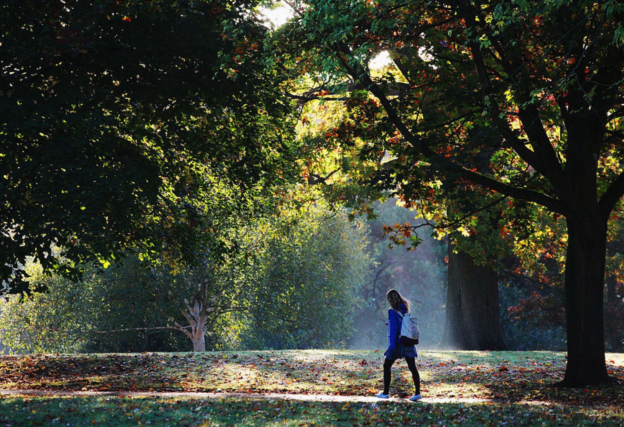 Het Marskramerpad: prachtige herfstwandeling door Nederland
