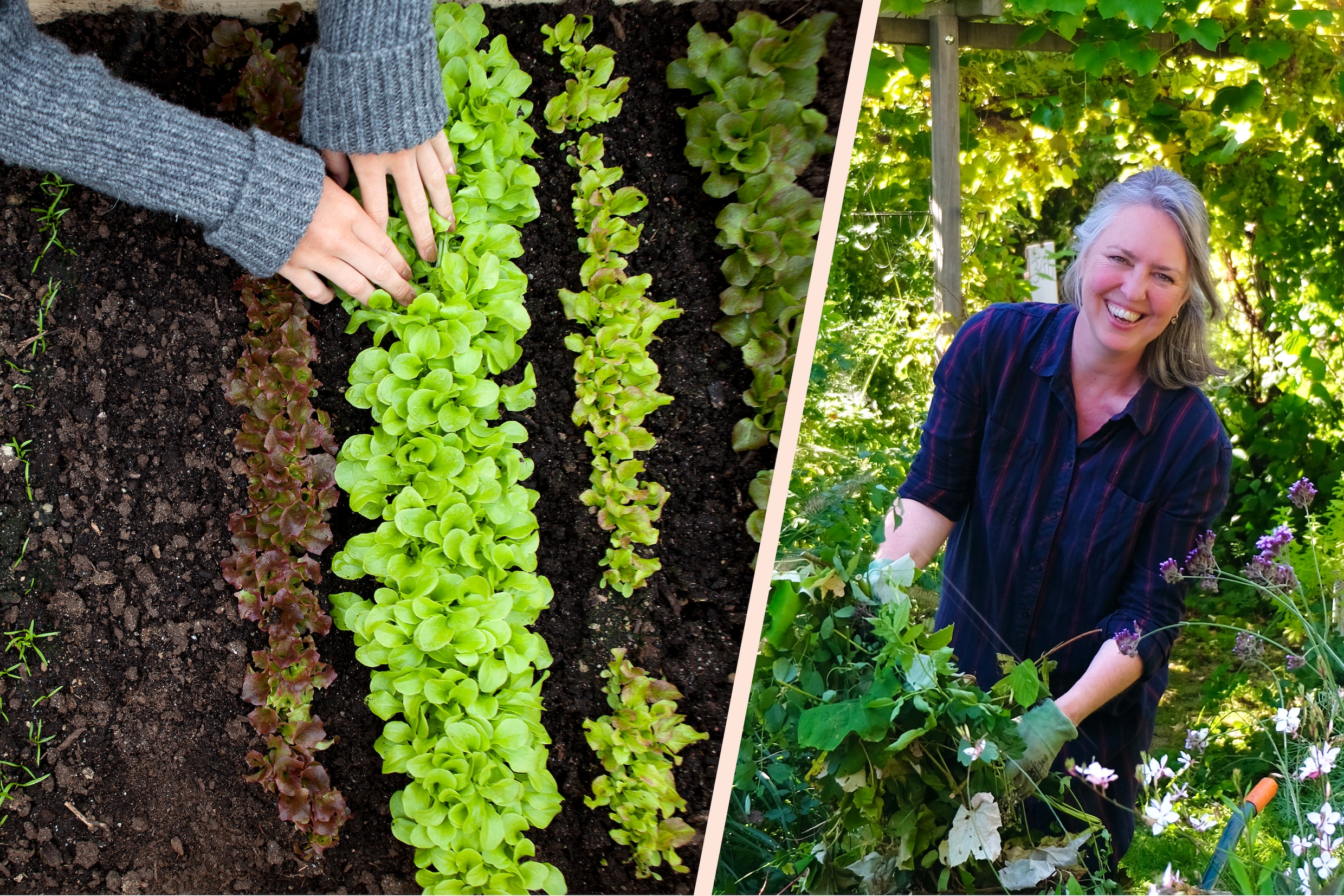 Groenexpert tipt: deze groenten kun je zaaien in oktober | Margriet