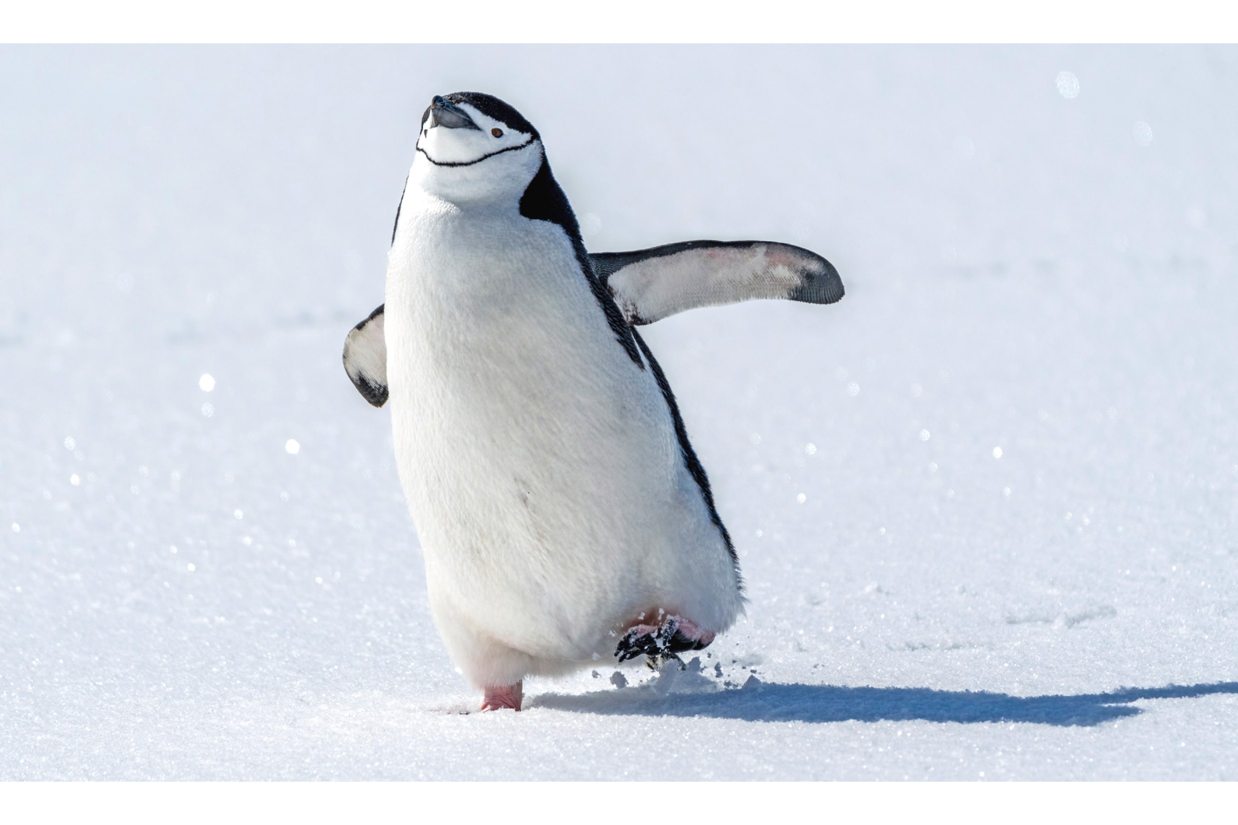 Huisarts licht toe: slecht ter been? Dat kan door deze 5 aandoeningen ...