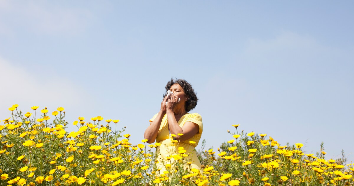 Hooikoorts? Op déze plek heb je er geen last van | Margriet