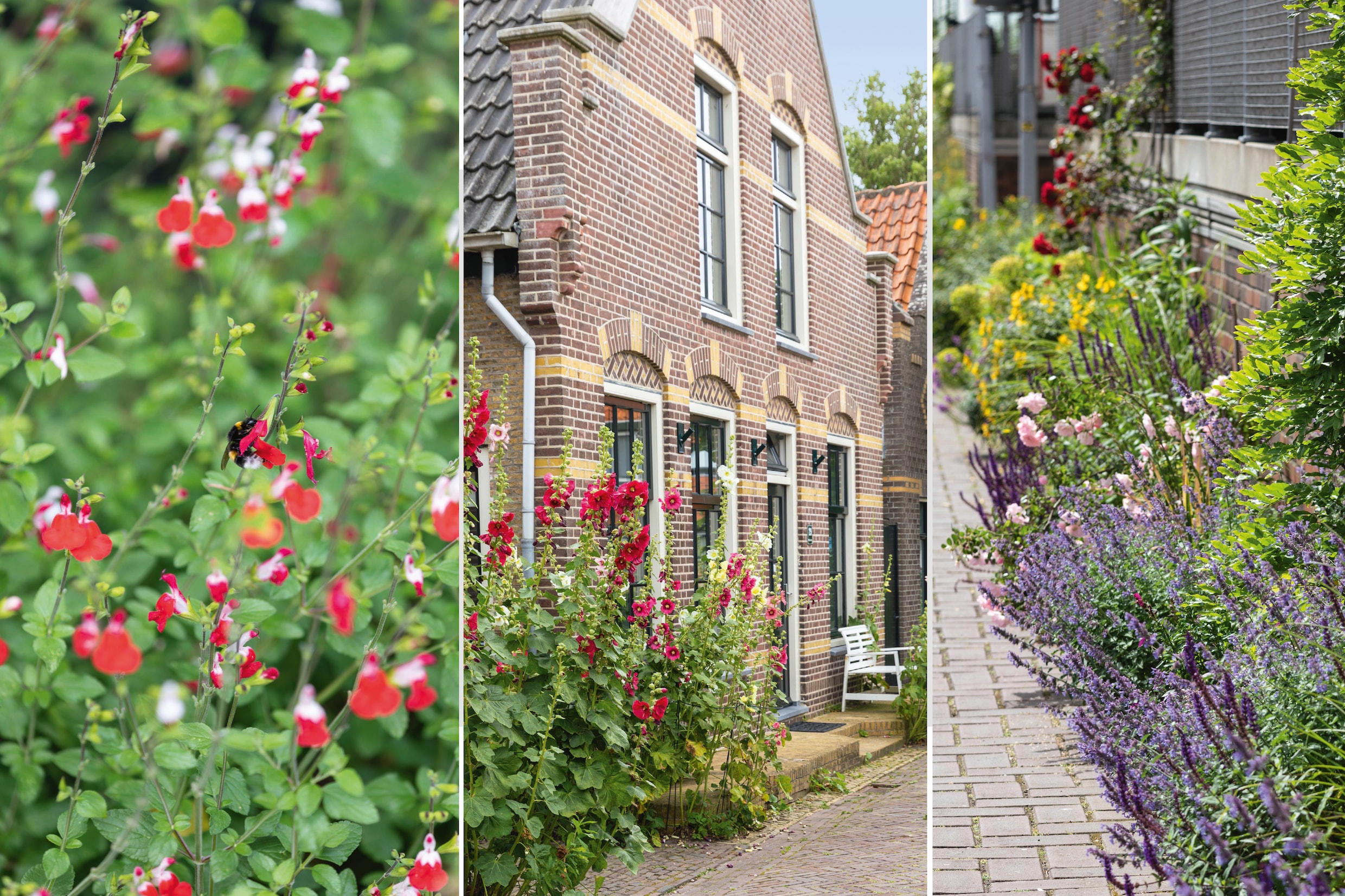 Geen tuin? Met deze tips maak je een geveltuin | Margriet