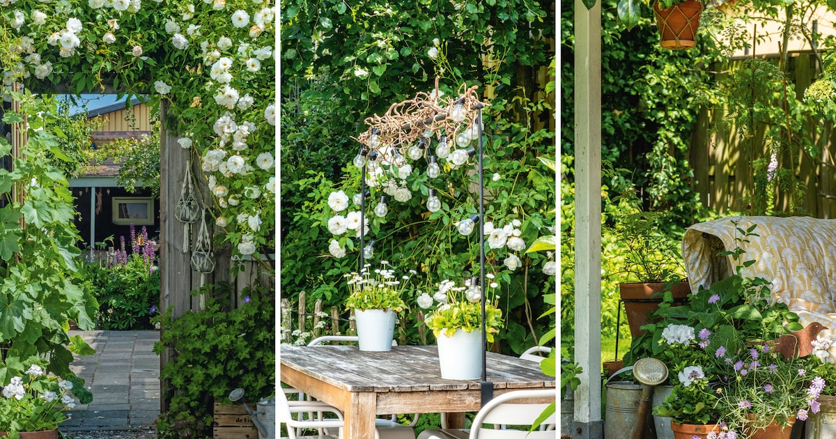 Het voordeel van een tuin waar je alles laat bloeien | Margriet