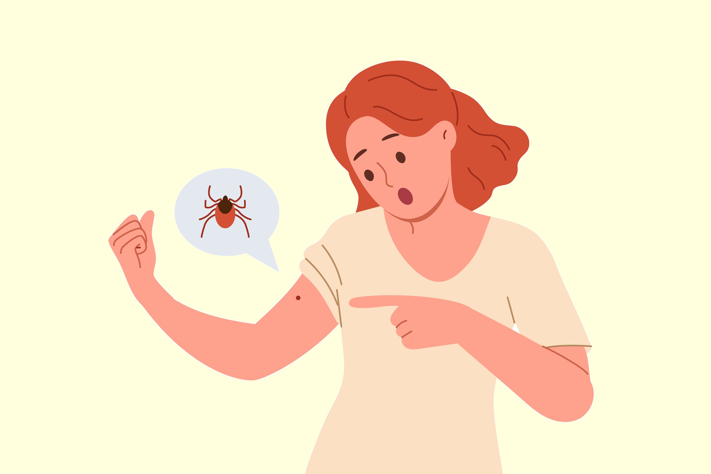 Zo ziet een teek eruit | Margriet