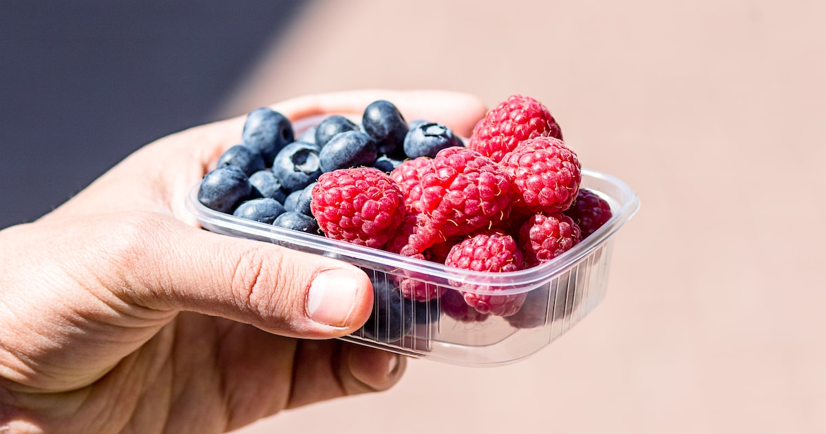 Zo kun je het best fruit bewaren tijdens de warme dagen | Margriet