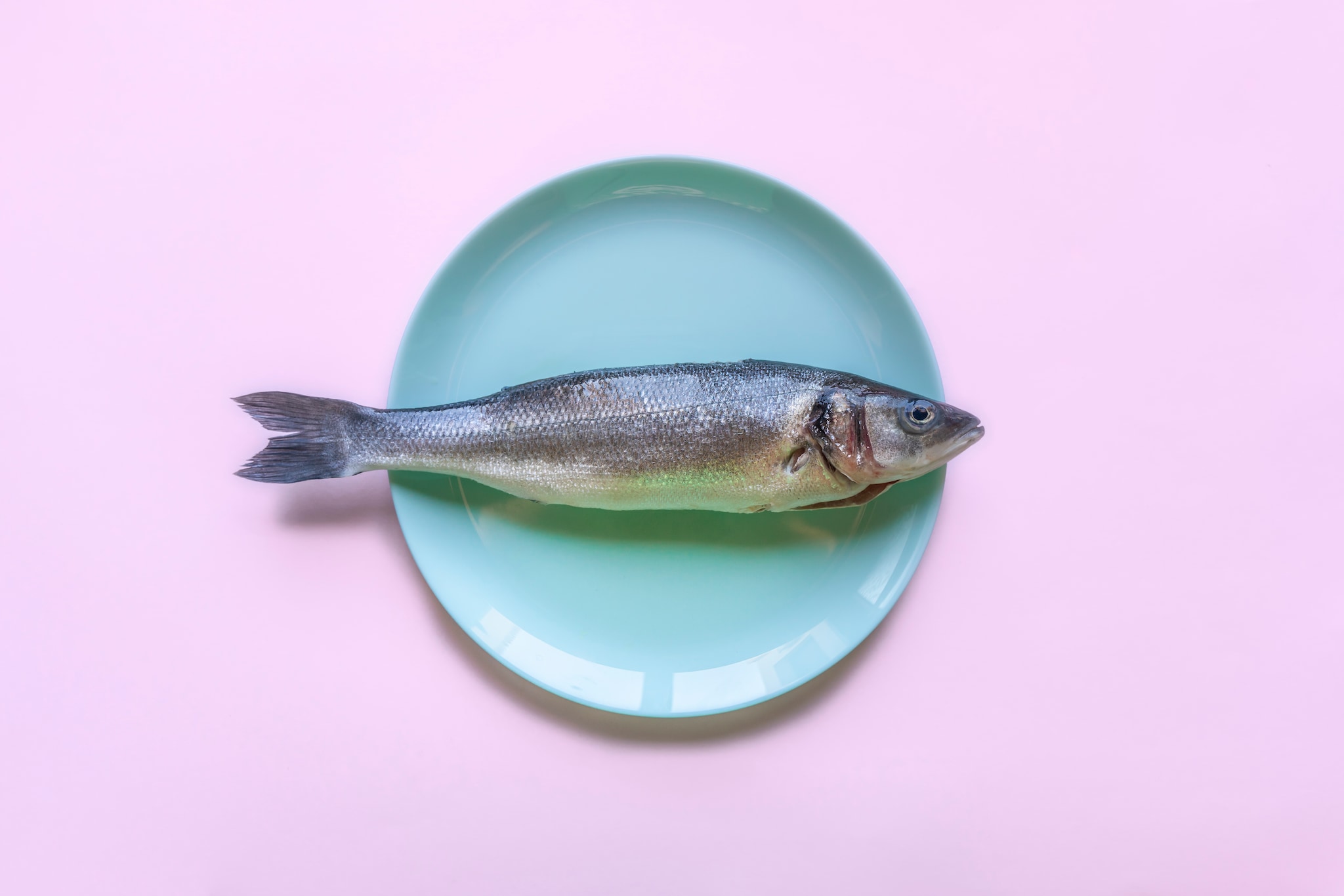 Diepvriesvis en verse vis: dit is het verschil