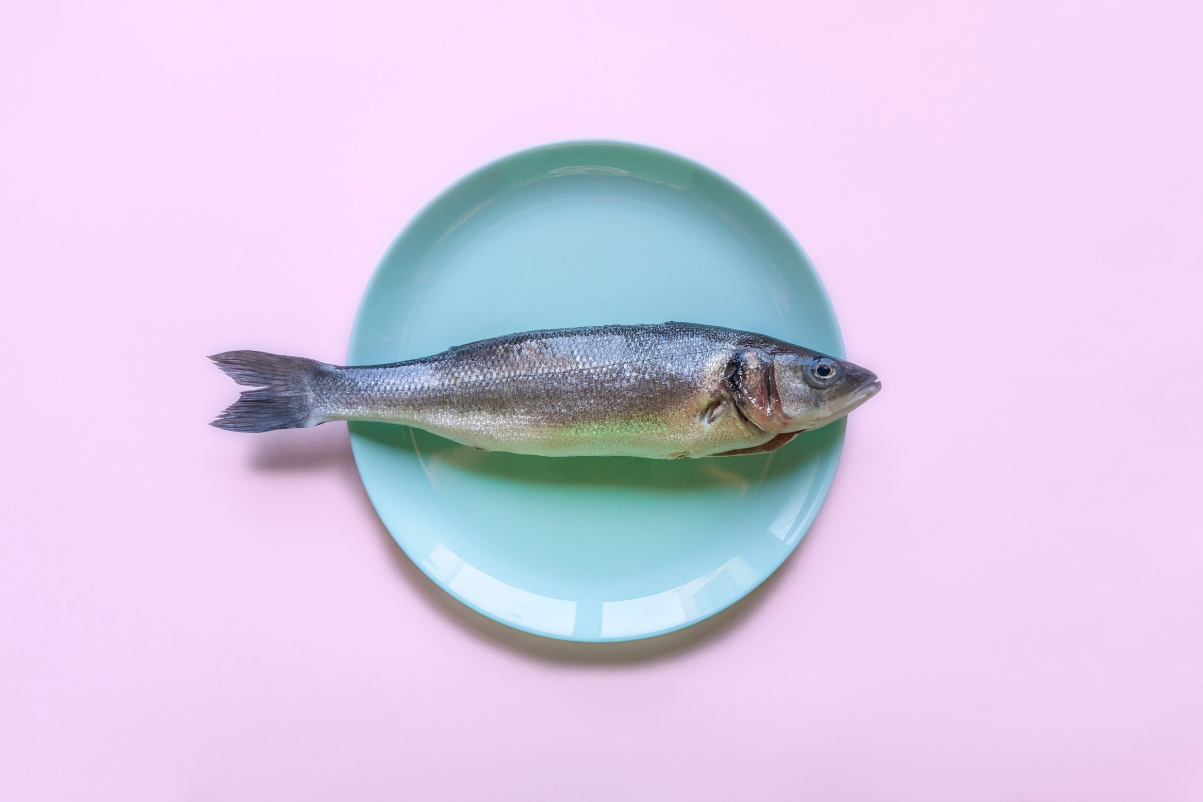 Diepvriesvis en verse vis: dit is het verschil | Margriet