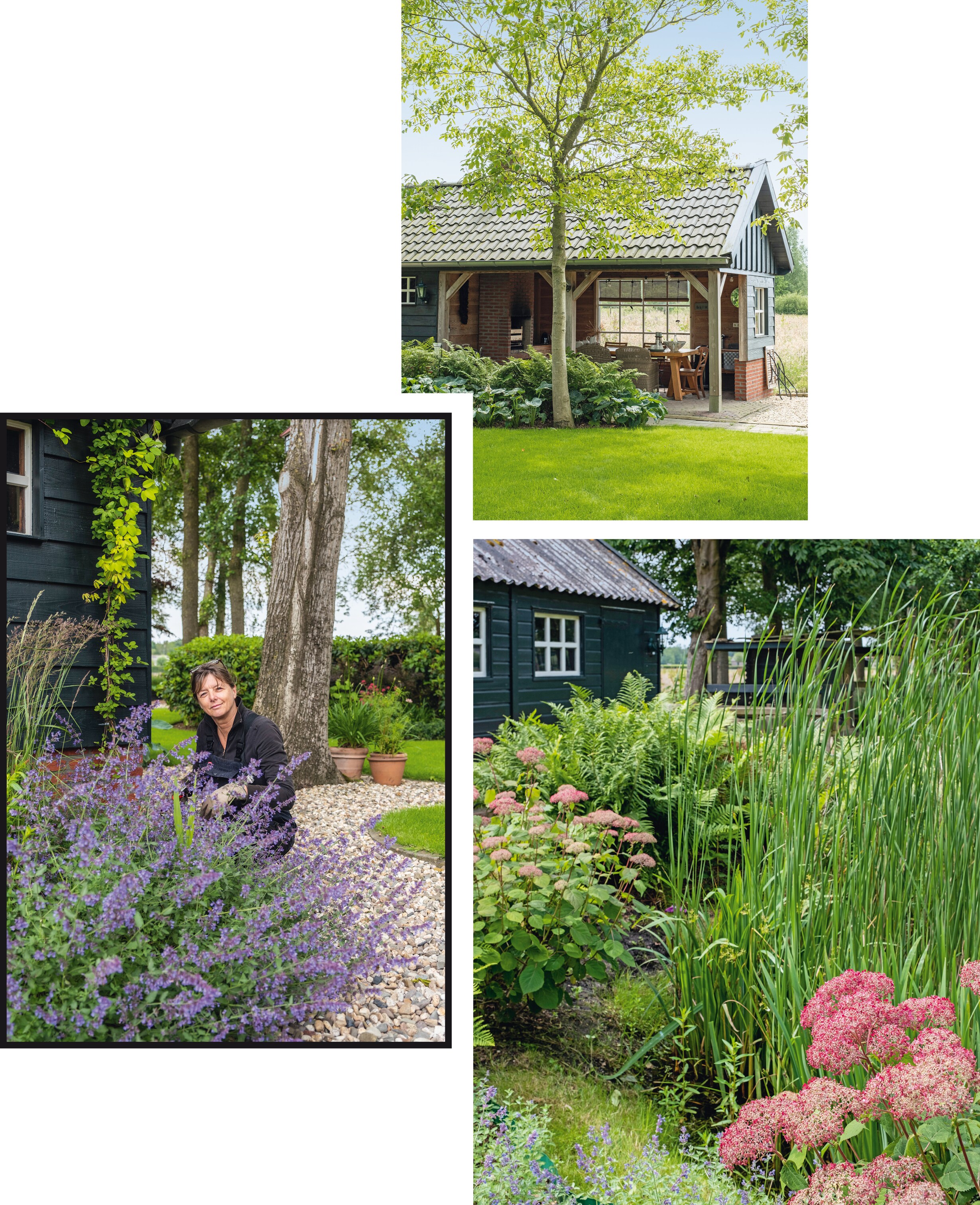 Kijkje in een tuin die je steeds opnieuw nieuwsgierig maakt | Margriet