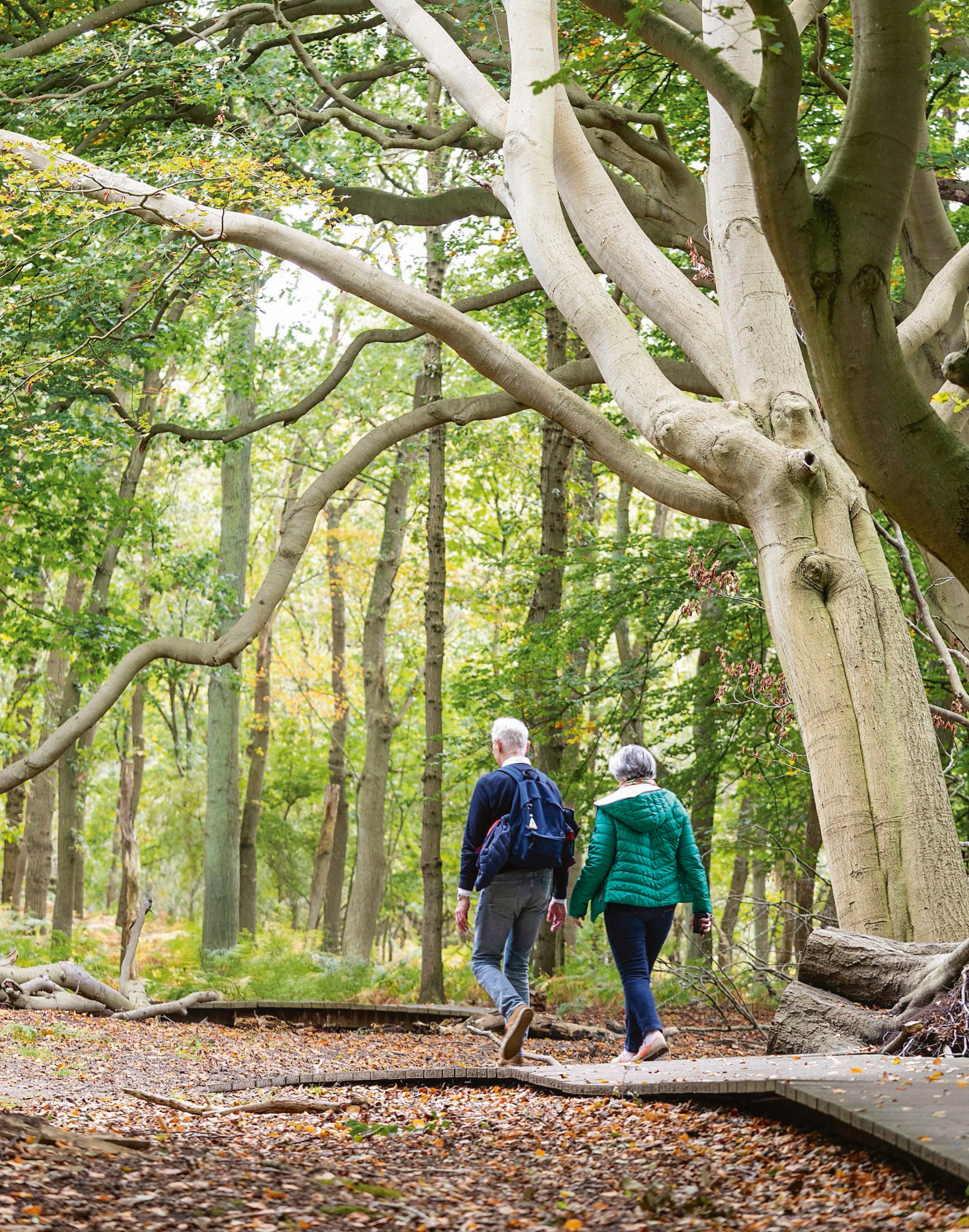 Dit is misschien wel het mooiste duingebied van Nederland | Margriet