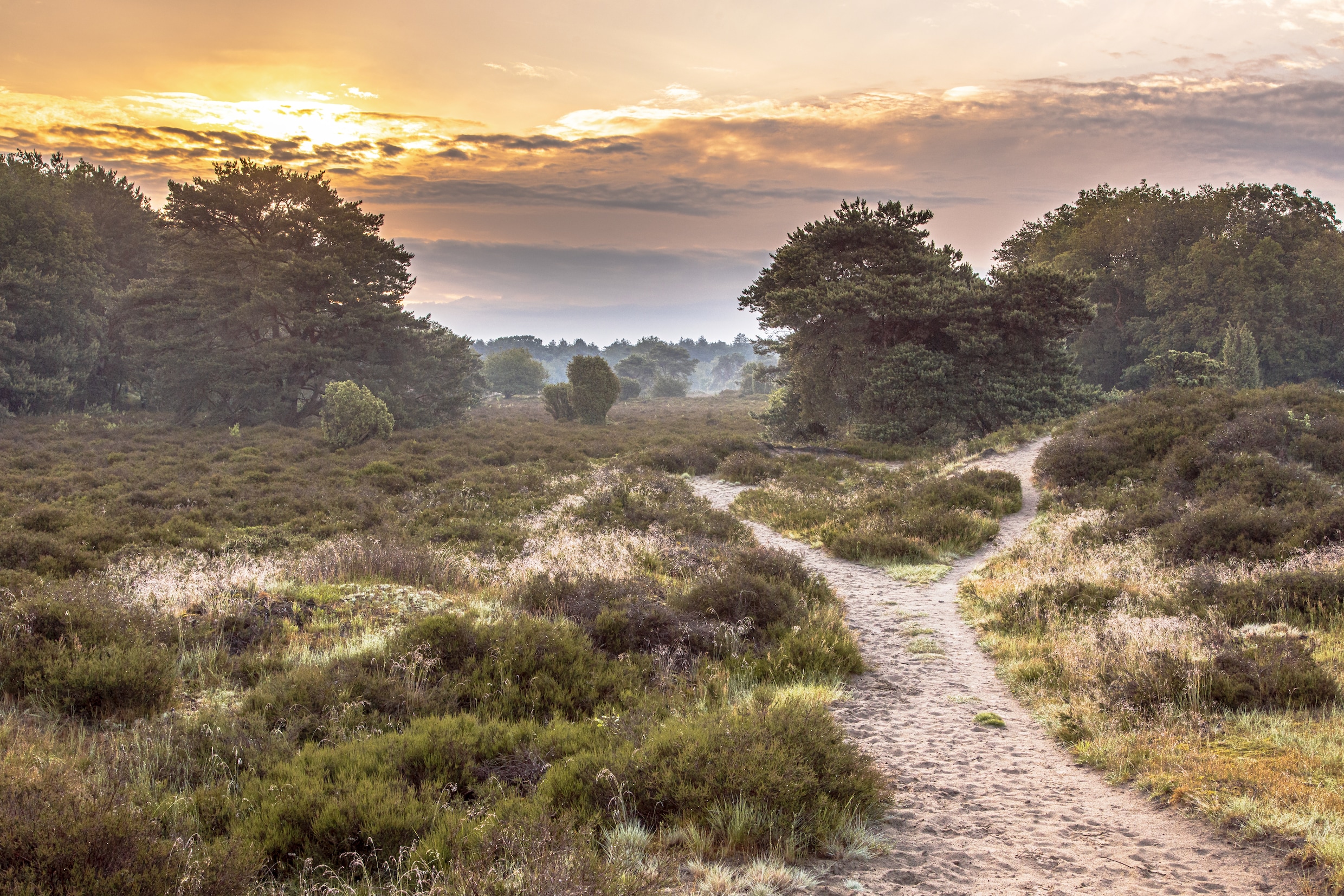 Het Drenthepad: een schitterende langeafstandswandeling | Margriet