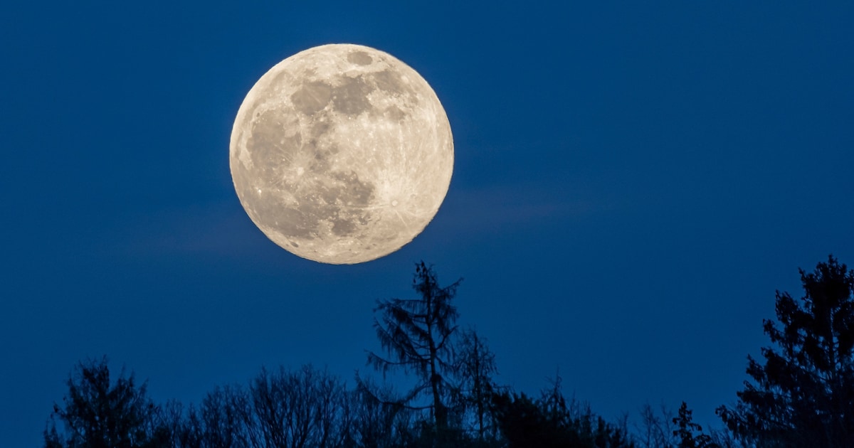 Maankalender 2026: dit betekent de volle maan voor jou