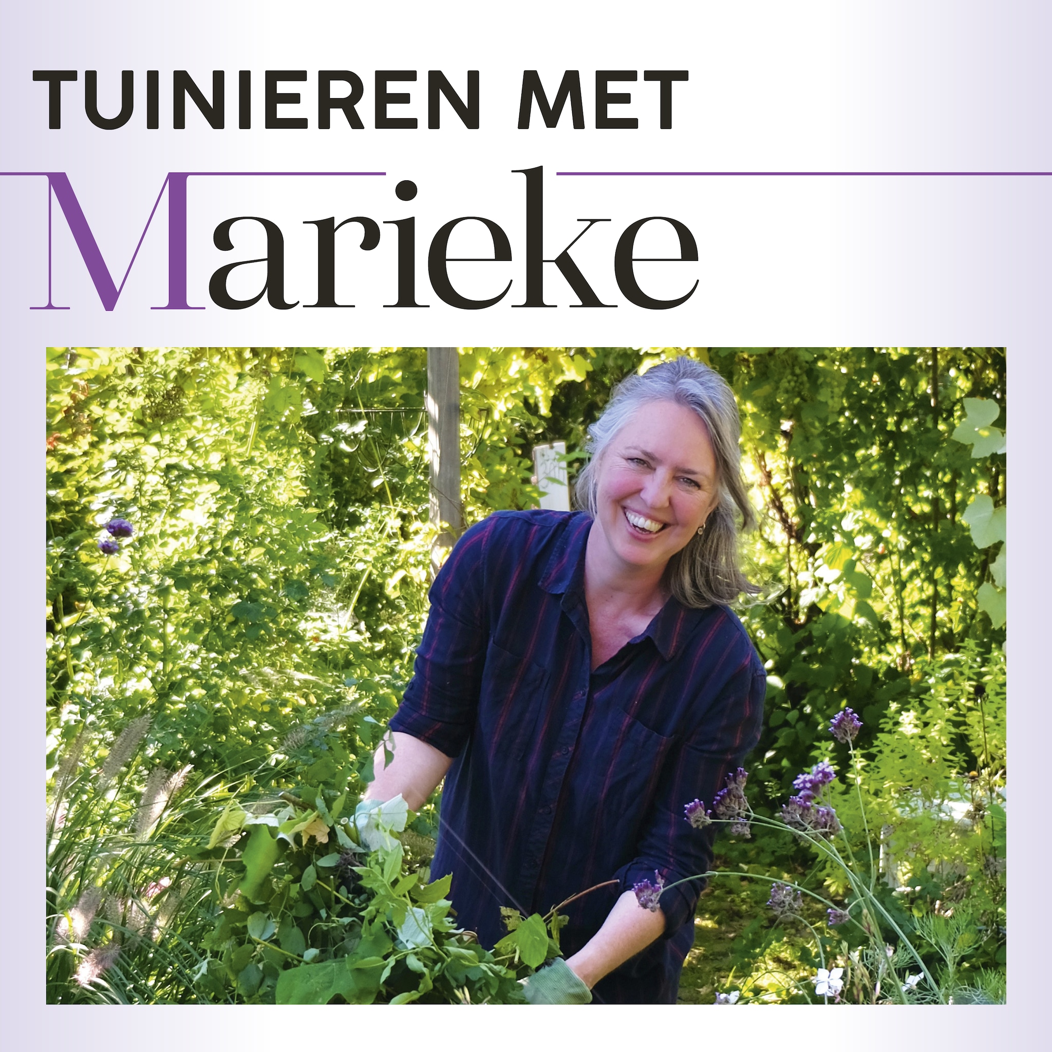 Dit is wanneer je tulpenbollen wil planten